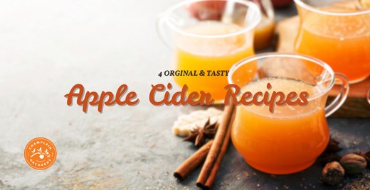 4 Homemade Apple Cider Recipes to Try in 2025 | C.Orchards – Champlain ...