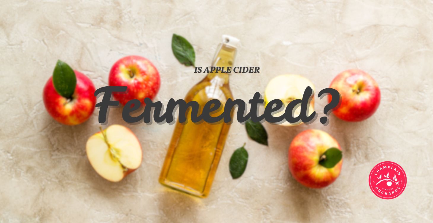 Is Apple Cider Fermented? Types & Alcohol Content – Champlain Orchards