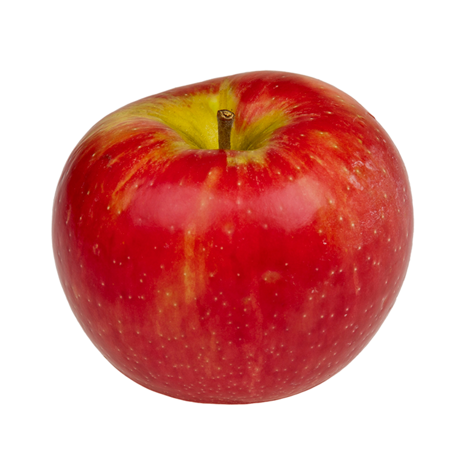 Summerset – Champlain Orchards