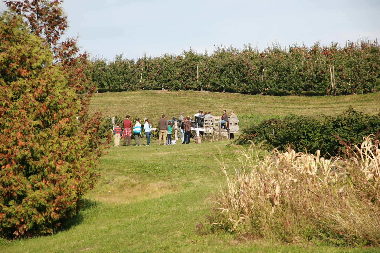 book a tour – Champlain Orchards